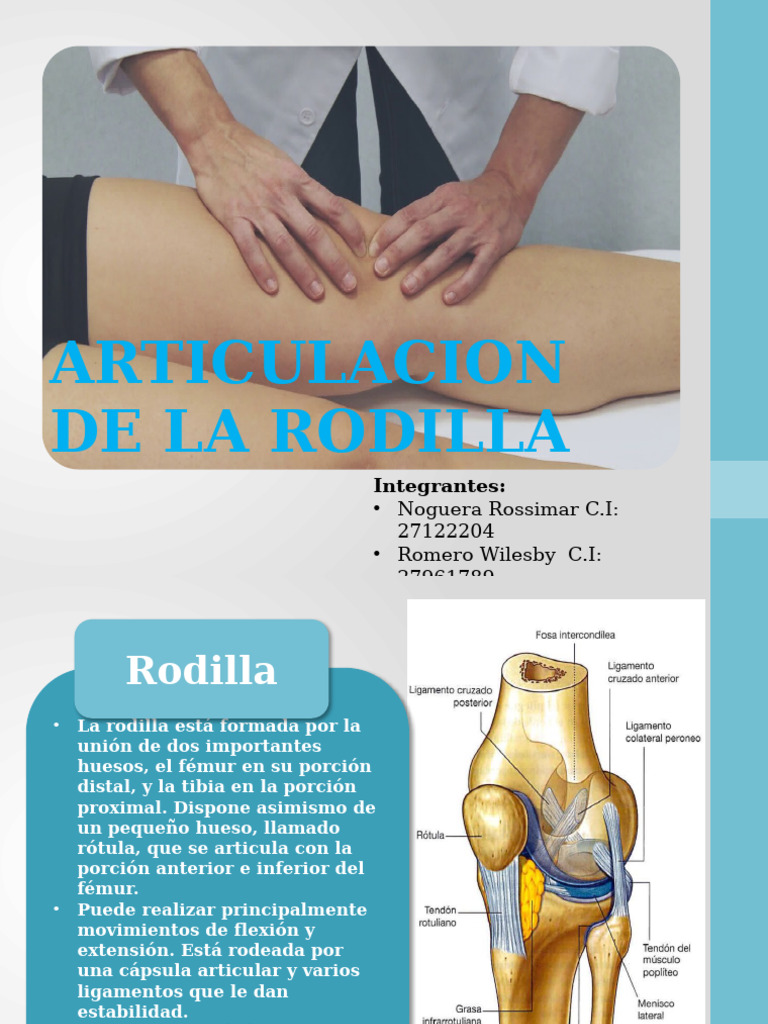 Técnicas Semiologicas ARTICULACION DE LA RODILLA | PDF | Rodilla ...