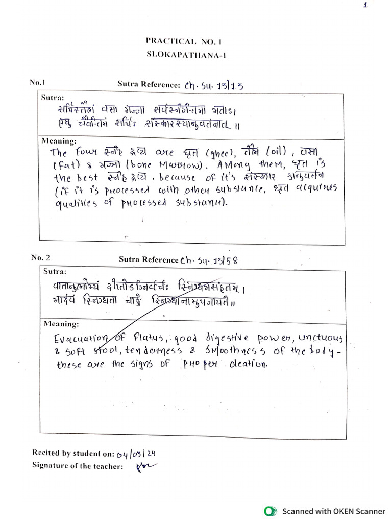 SA Journal - Term 1 | PDF