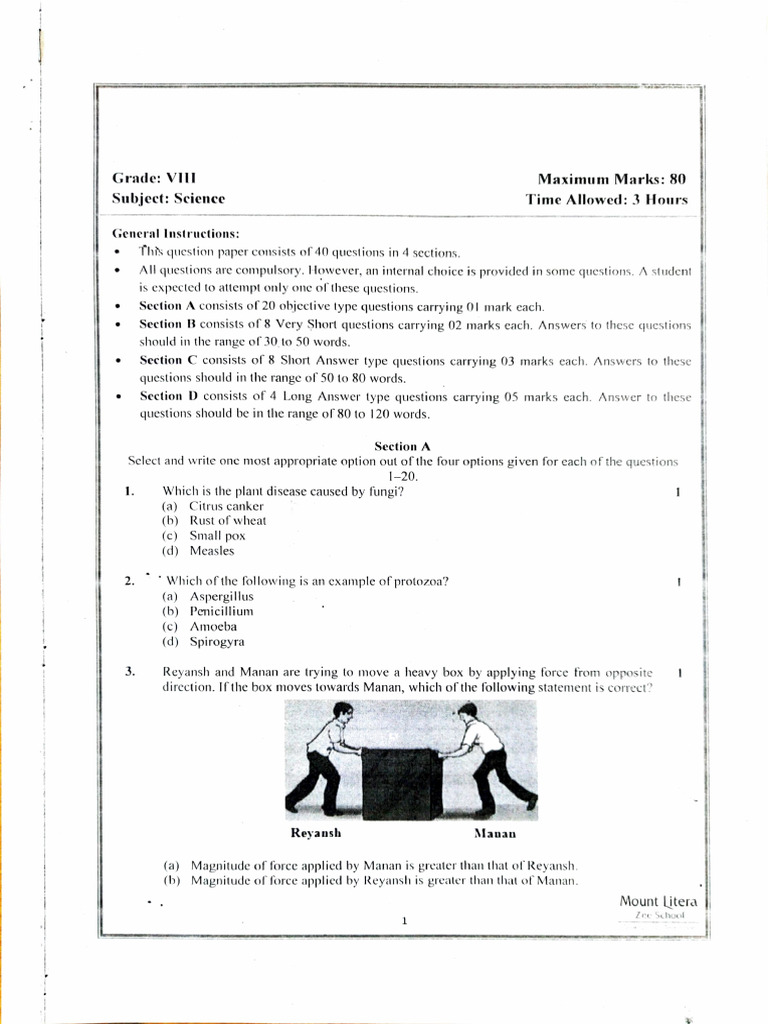 Grade - 8 - Science Sample Paper Half Yearly Exam | PDF | Herbicide | Eye