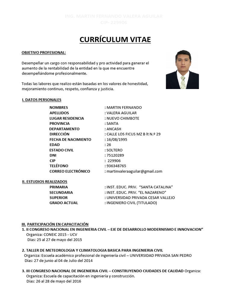 CV 2021 Martin Valera | PDF | Ingeniería