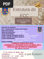Manual Ecc - Dirigentes | PDF