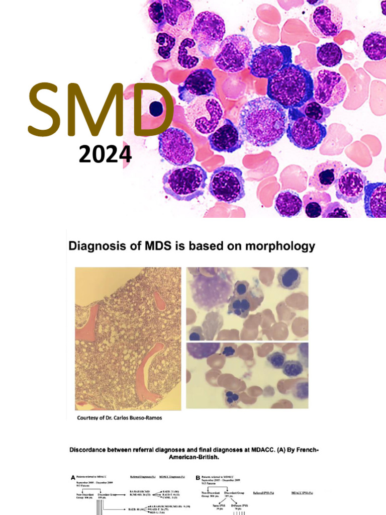 SMD 2024 | PDF
