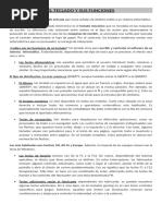 Diferencias entre Teclas Enter y Return | PDF | Teclado | Computadoras ...