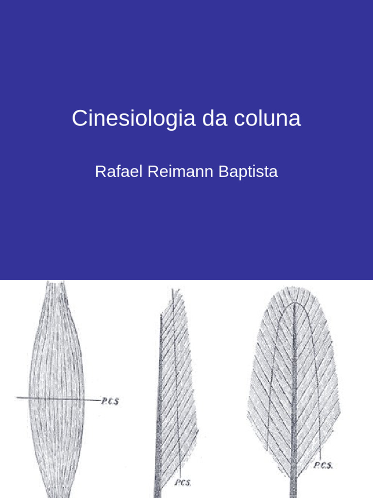 Cinesiologia Da Coluna | PDF