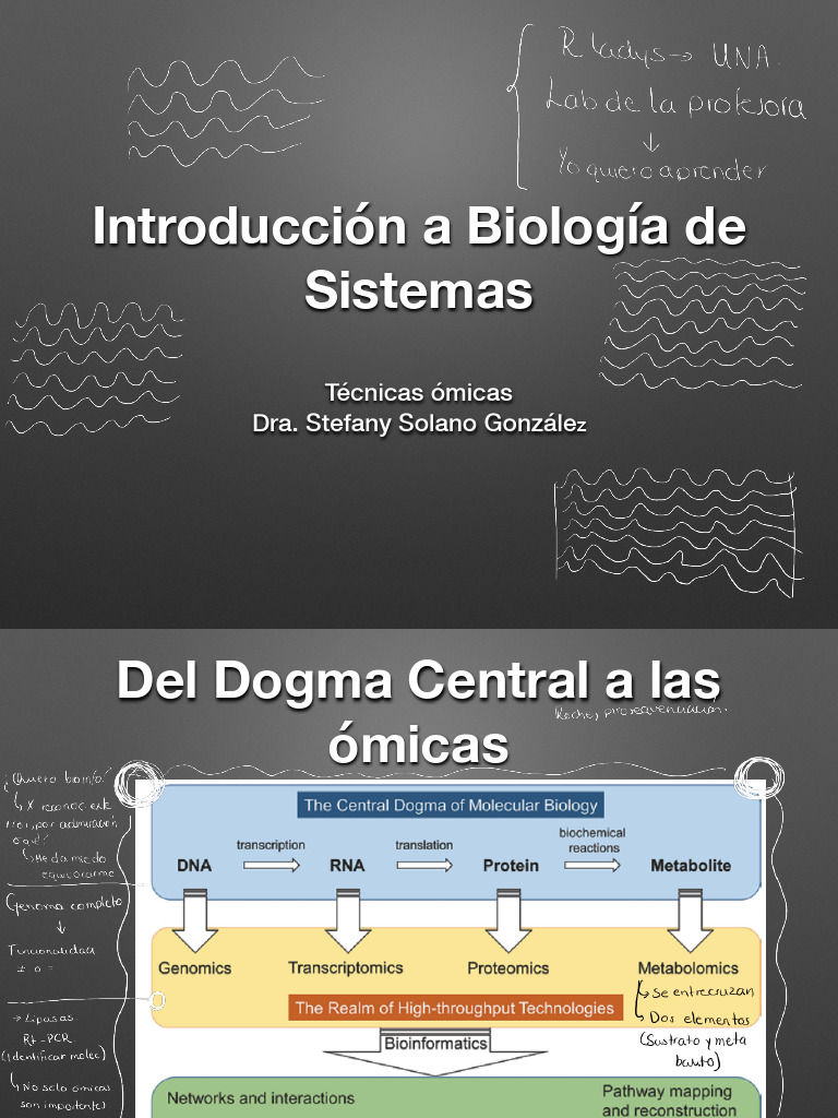 Clase9_241001_144445 | PDF