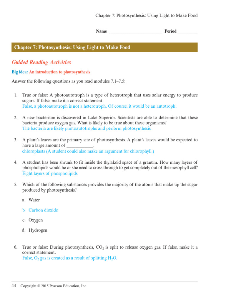 07 Guided Reading Activity Answers | PDF | Photosynthesis | Biology