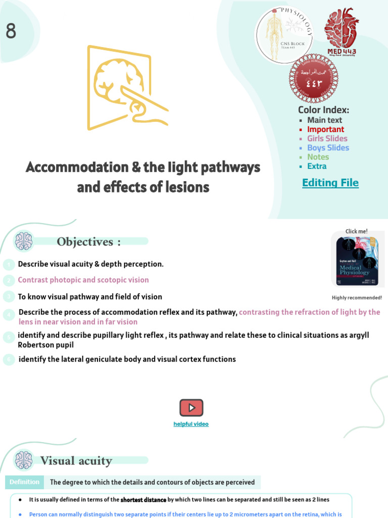 Visual Pathways & Accommodations | PDF | Visual System | Visual Cortex