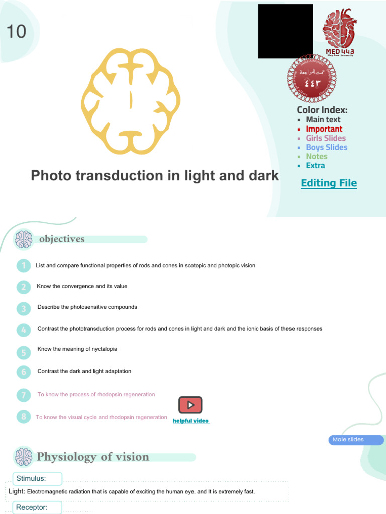 L10-Photo Transduction in Light and Dark-1 | PDF