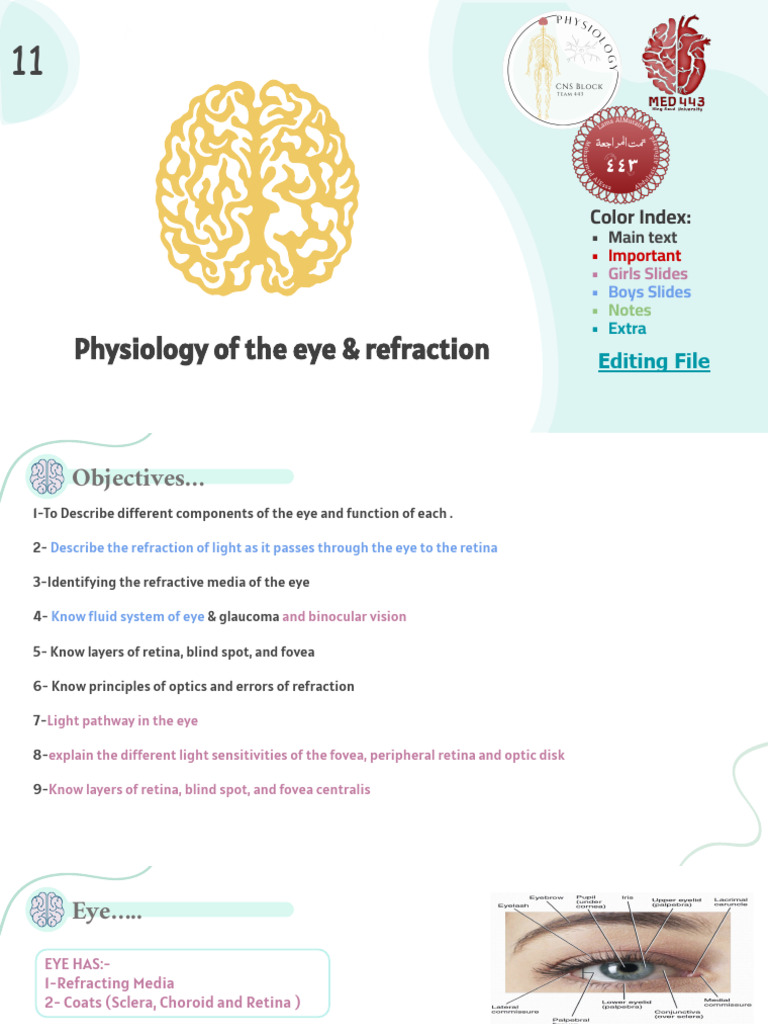 L11-Physiology of The Eye & Refraction | PDF | Retina | Eye
