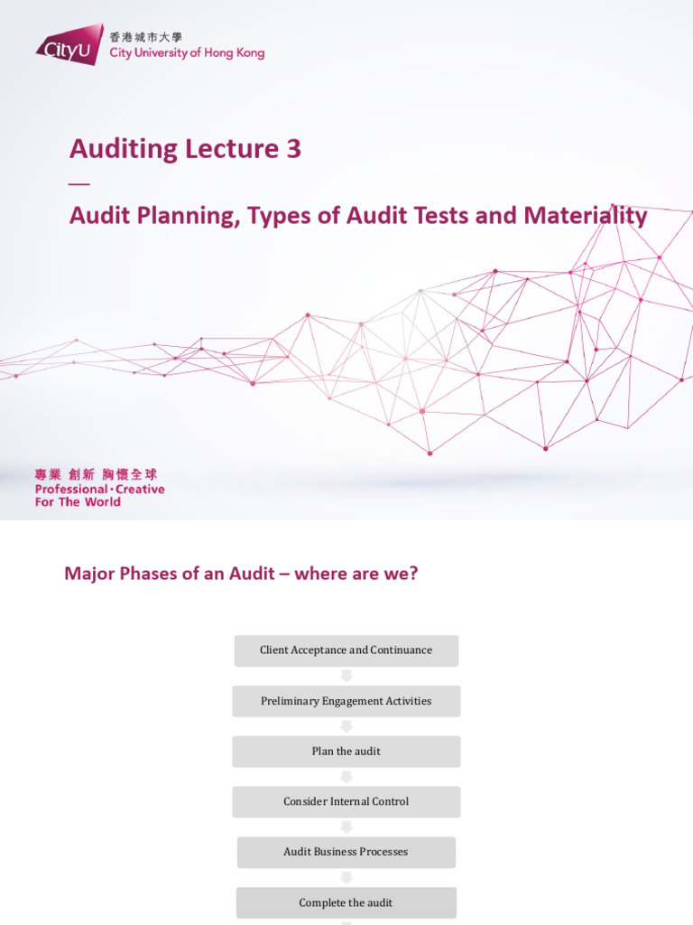 Lecture3 (1) | PDF | Audit | Internal Control