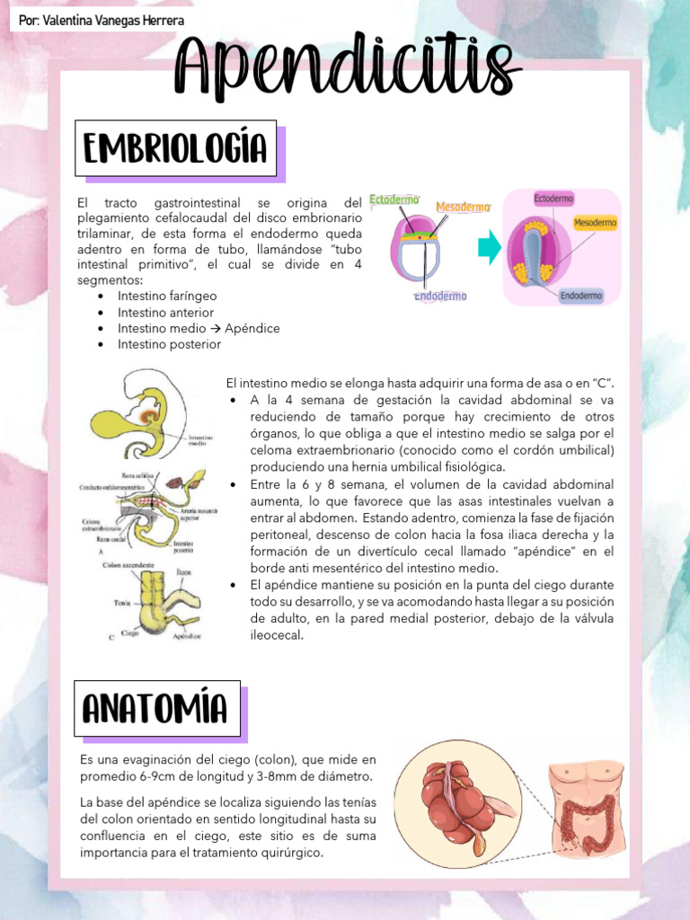 Apendicitis: Anatomía y Fisiopatología | PDF | Tracto gastrointestinal ...