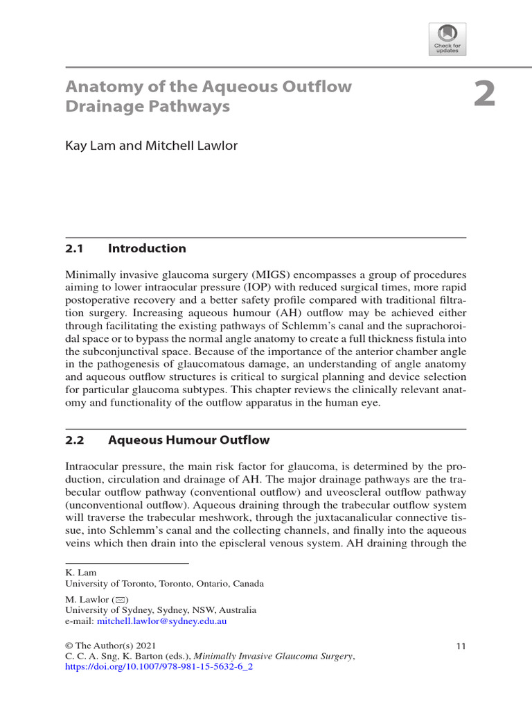 Anatomy_of_the_Aqueous_Outflow_Drainage_Pathways | PDF | Glaucoma | Lymph