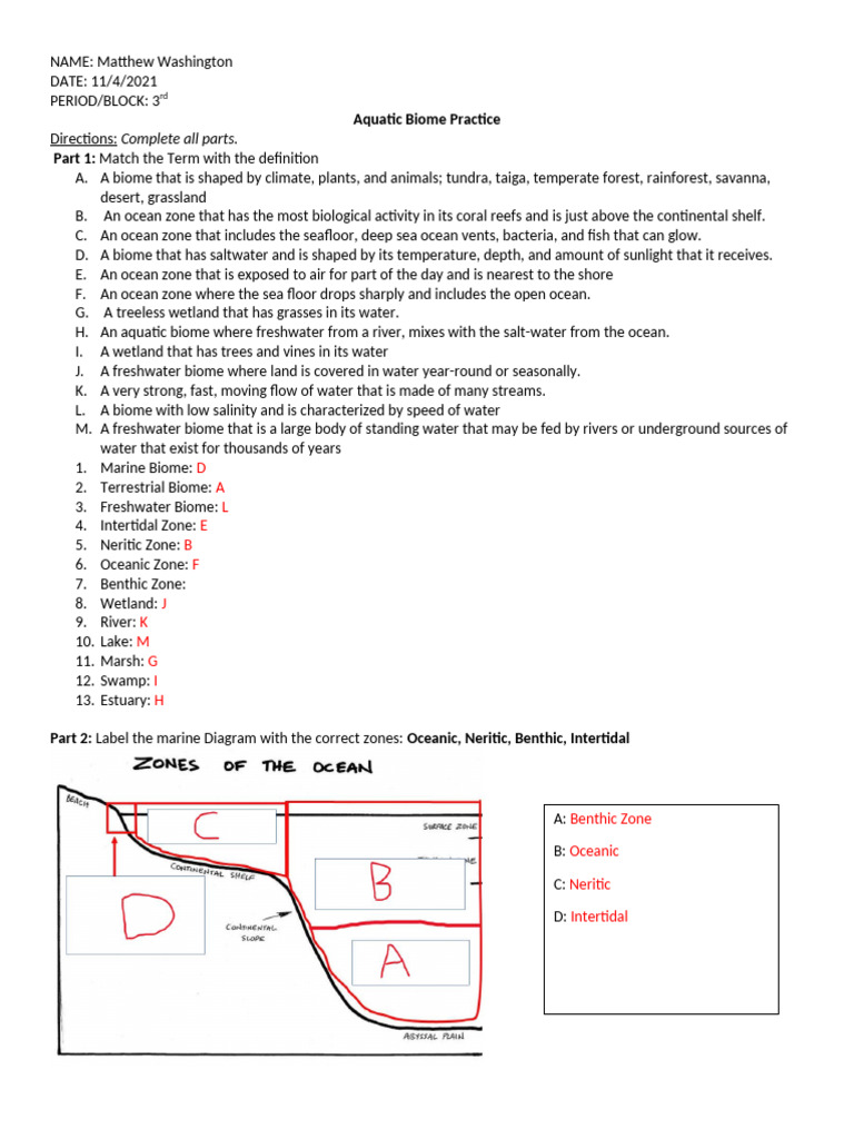 Aquatic Biomes Practice (21-22) | PDF | Benthic Zone | Oceans