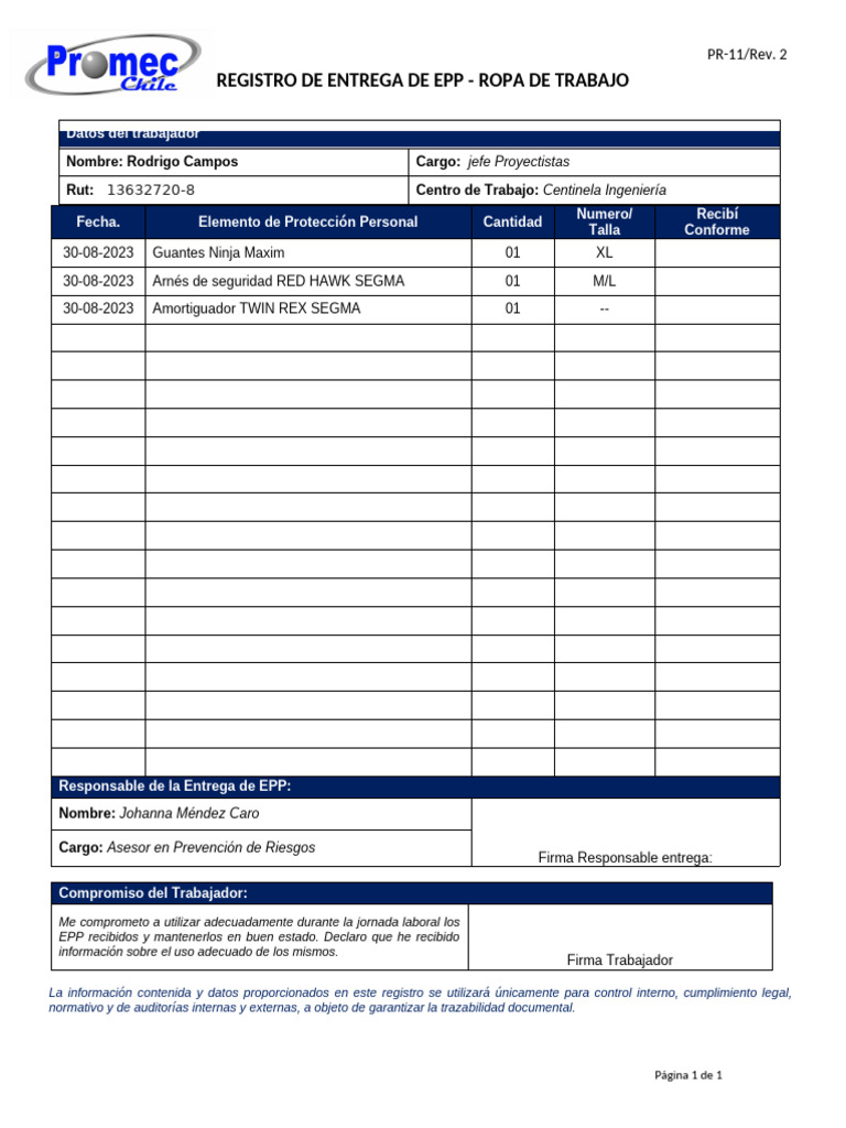 PR-11. FORMATO Entrega de EPP. | PDF