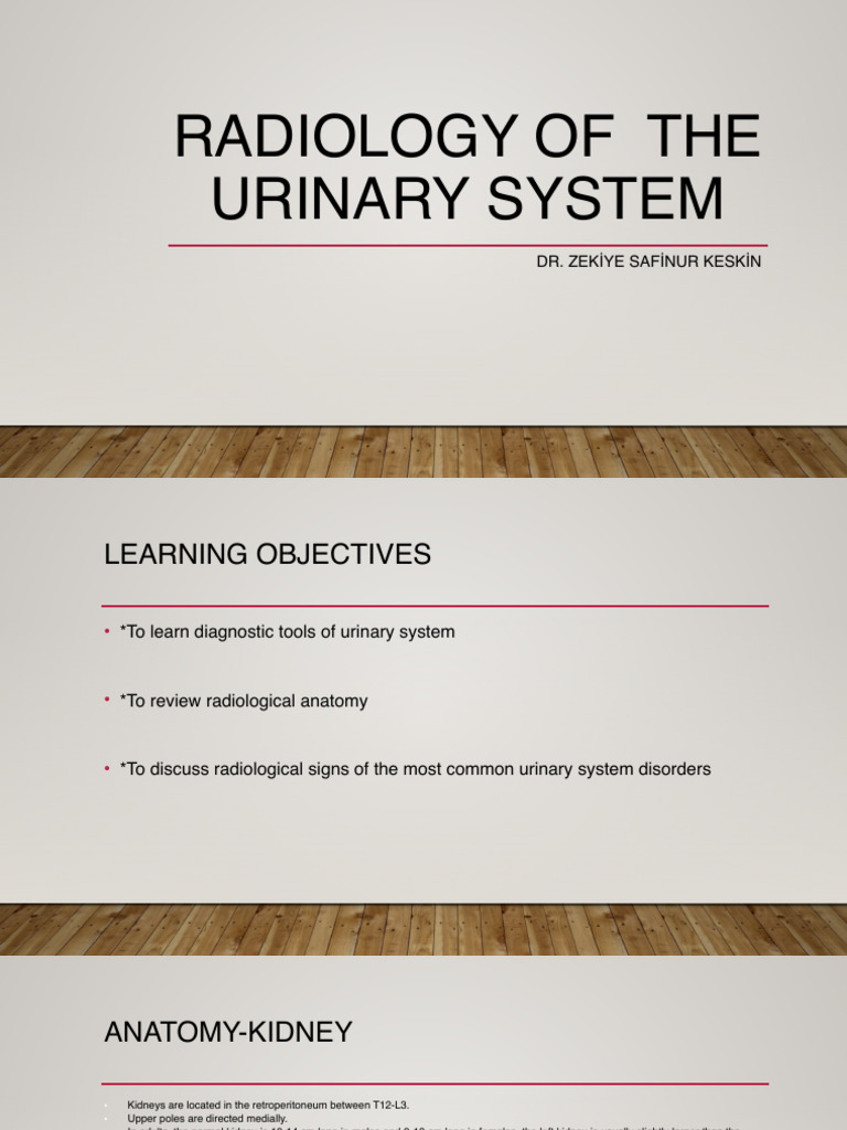 Radiology of The Urinary System | PDF | Medical Specialties | Urology