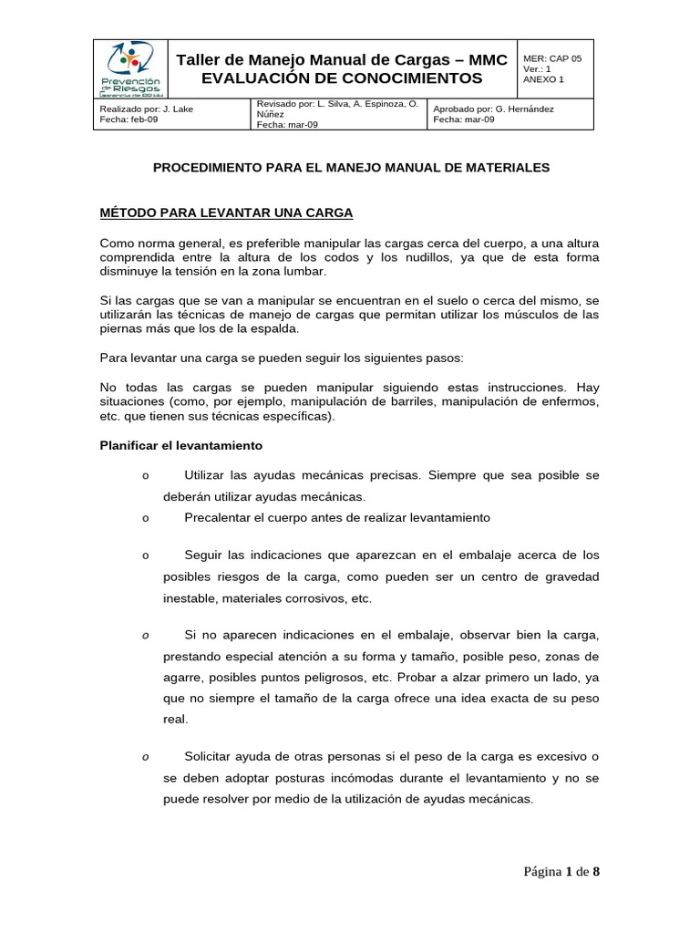 PTS Manejo Manual de Cargas | PDF