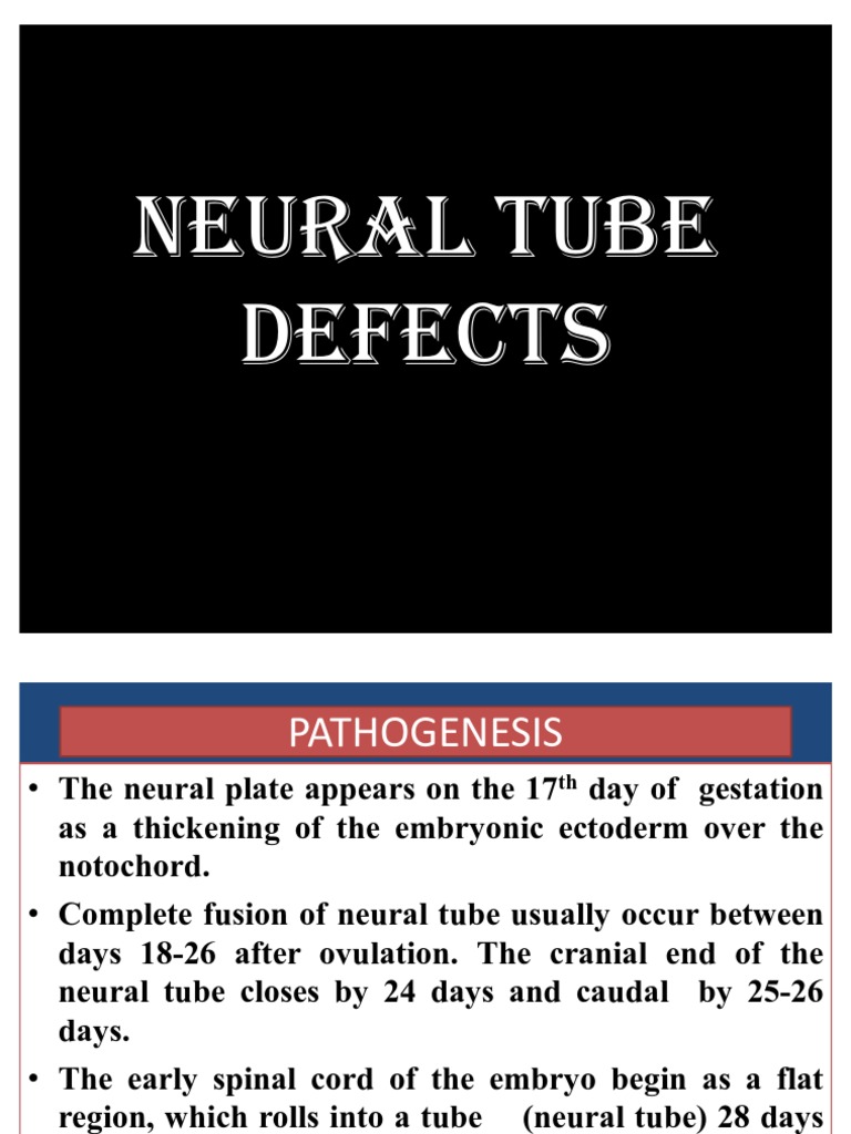 Neural Tube Defects | PDF