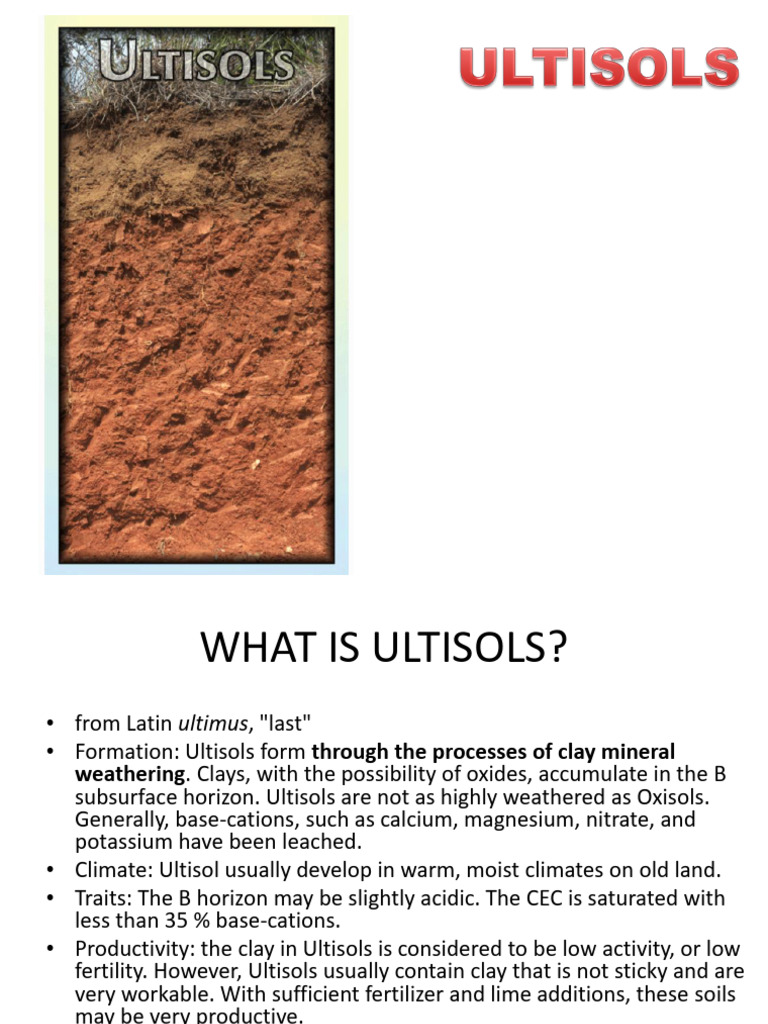 soil-report-ULTISOLS | PDF