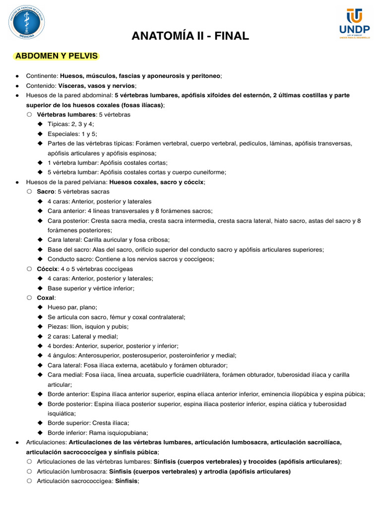 Anatomía - FINAL | PDF | Páncreas | Abdomen