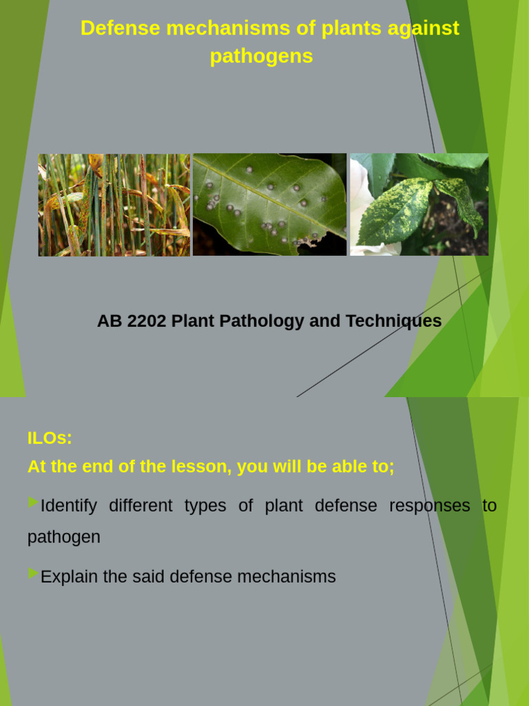 Lecture 6&7 - Plant Defence Mechanisms | PDF | Fungus | Pathogen