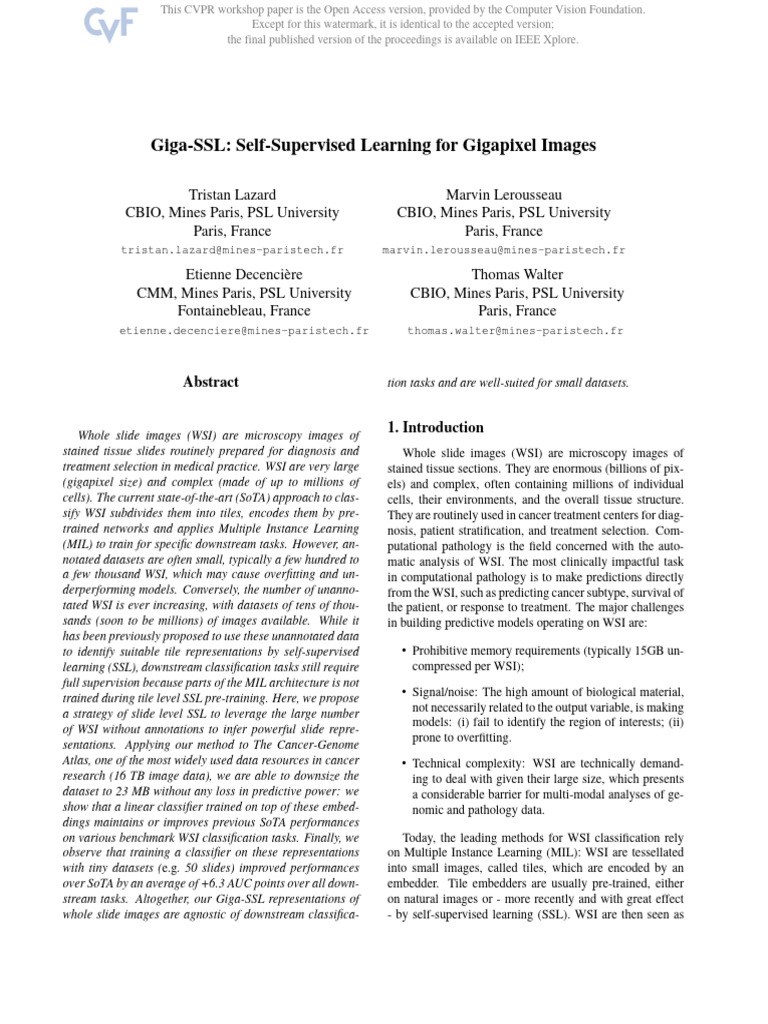 Lazard Giga-SSL Self-Supervised Learning For Gigapixel Images CVPRW 2023 Paper | PDF