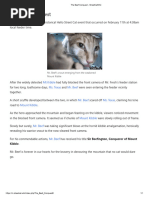 The Gluttonous Beast - StreetCatWiki | PDF | Cats