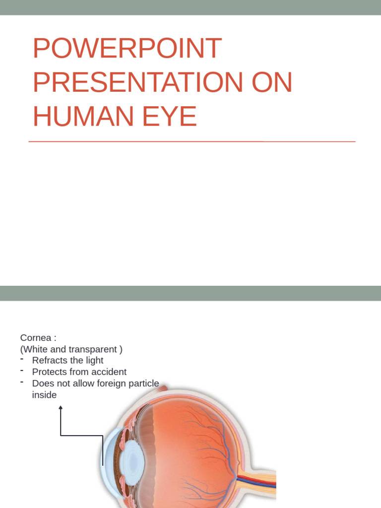 Powerpoint Presentation On Human Eye | PDF