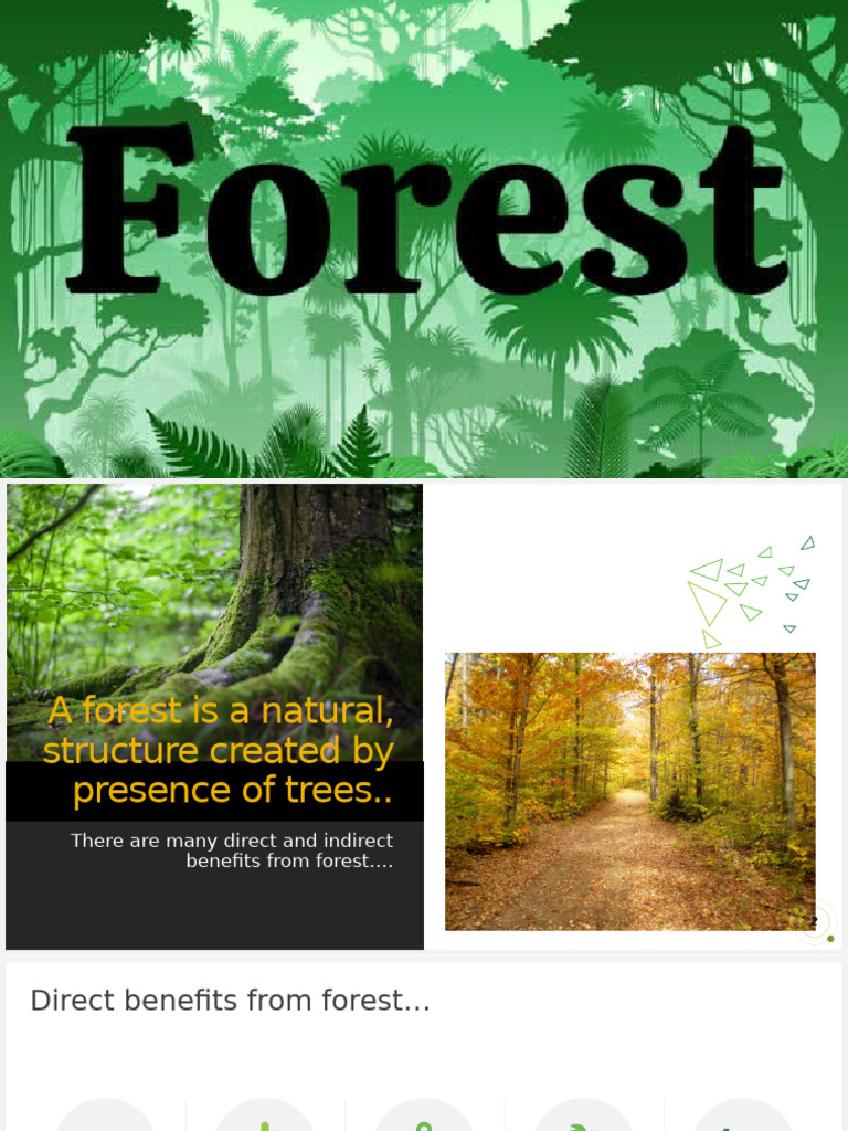 Forest | PDF | Forests | Amazon Rainforest
