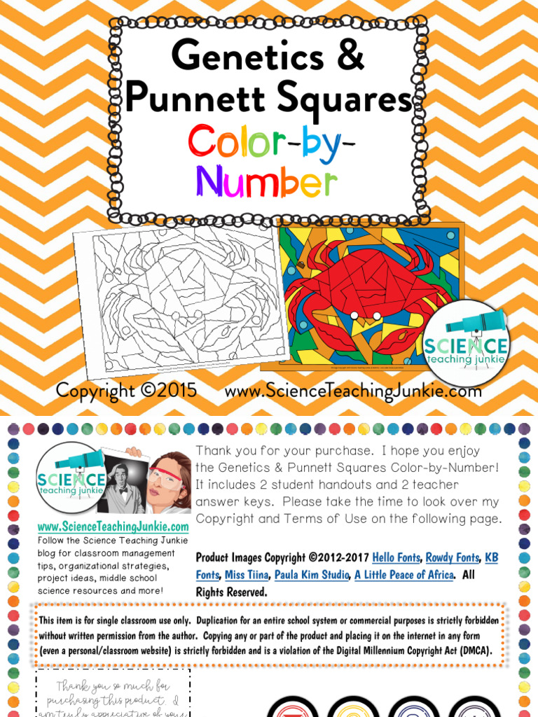 Geneticsand Punnett Squares Colorby Number | PDF | Zygosity | Genotype