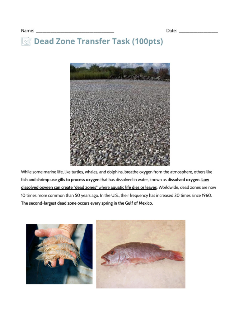 Gulf of Mexico Dead Zone Analysis Task | PDF | Phytoplankton | Dead ...