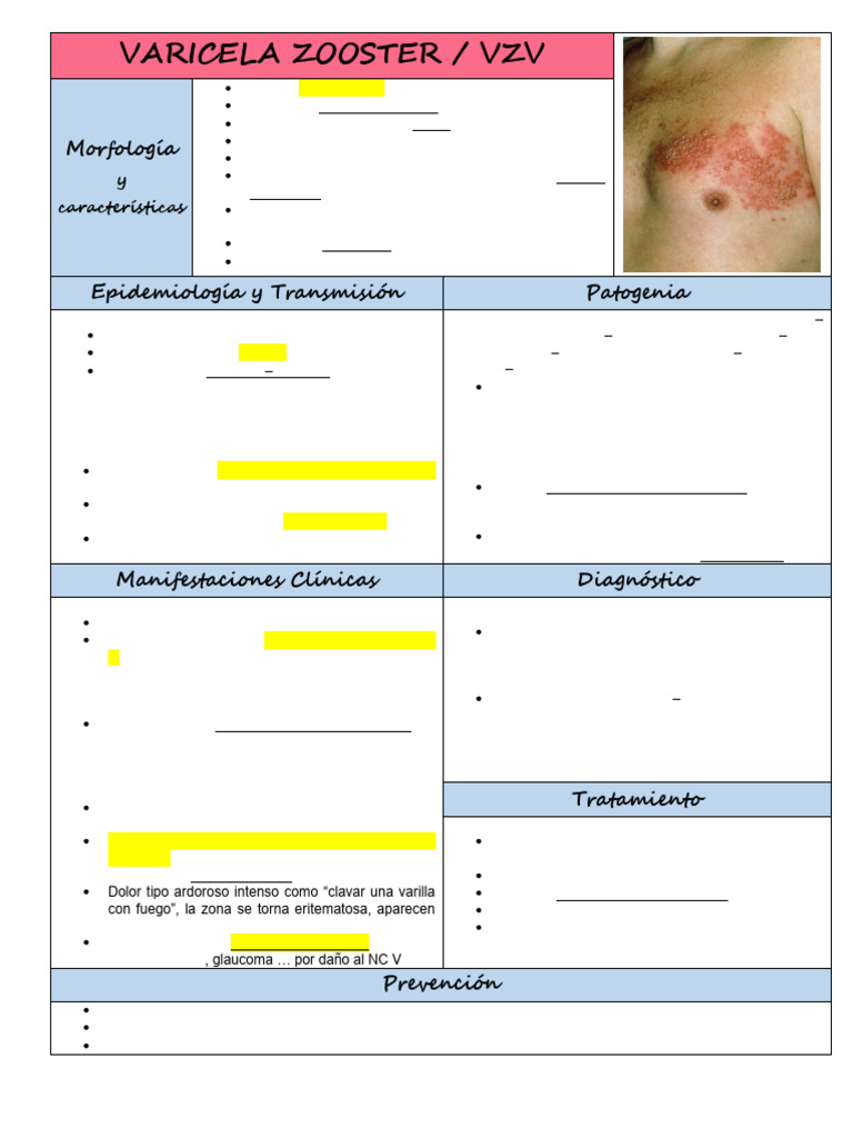 Varicela - Herpes Zóster (VZV) | PDF | Inmunología | Virología