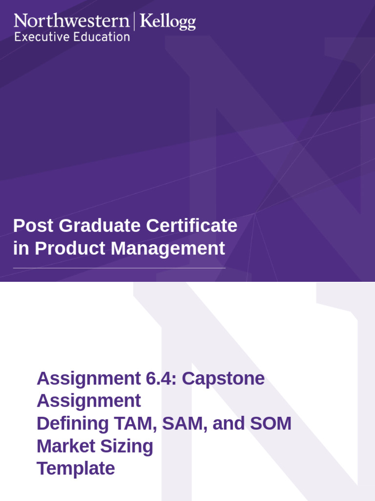 Module 6 - Capstone Assignment - Template | PDF | Gross Margin | Economics
