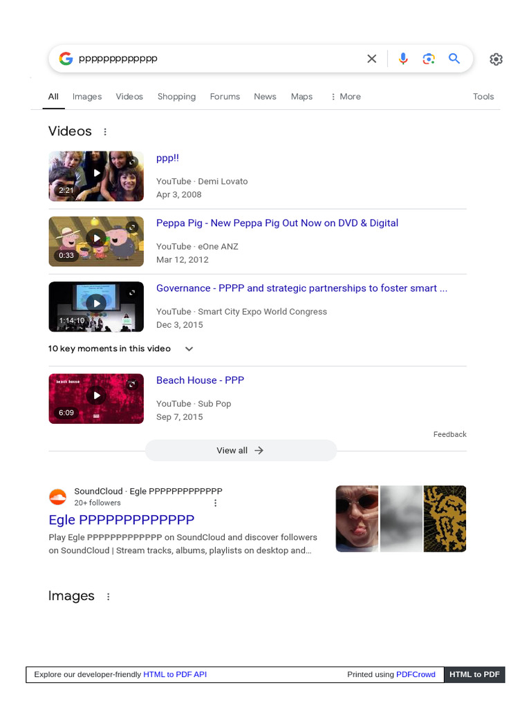 www_google_com_search_q_ppppppppppppp_oq_ppppppppppppp_gs_lc | PDF