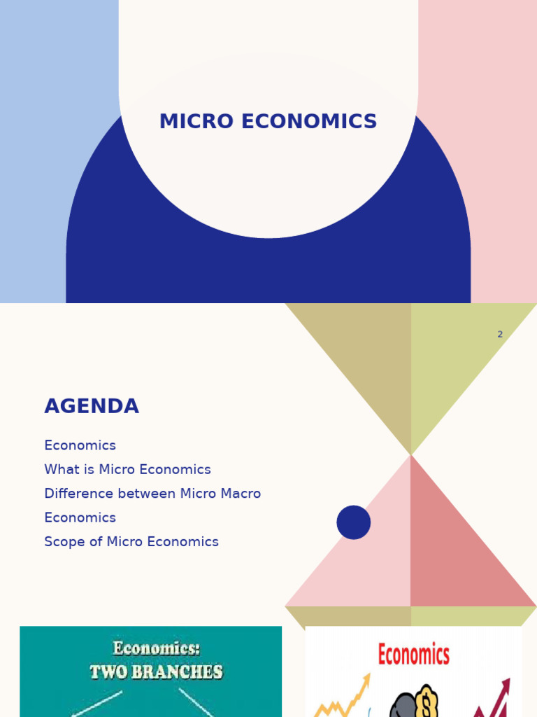 Micro Economics | PDF