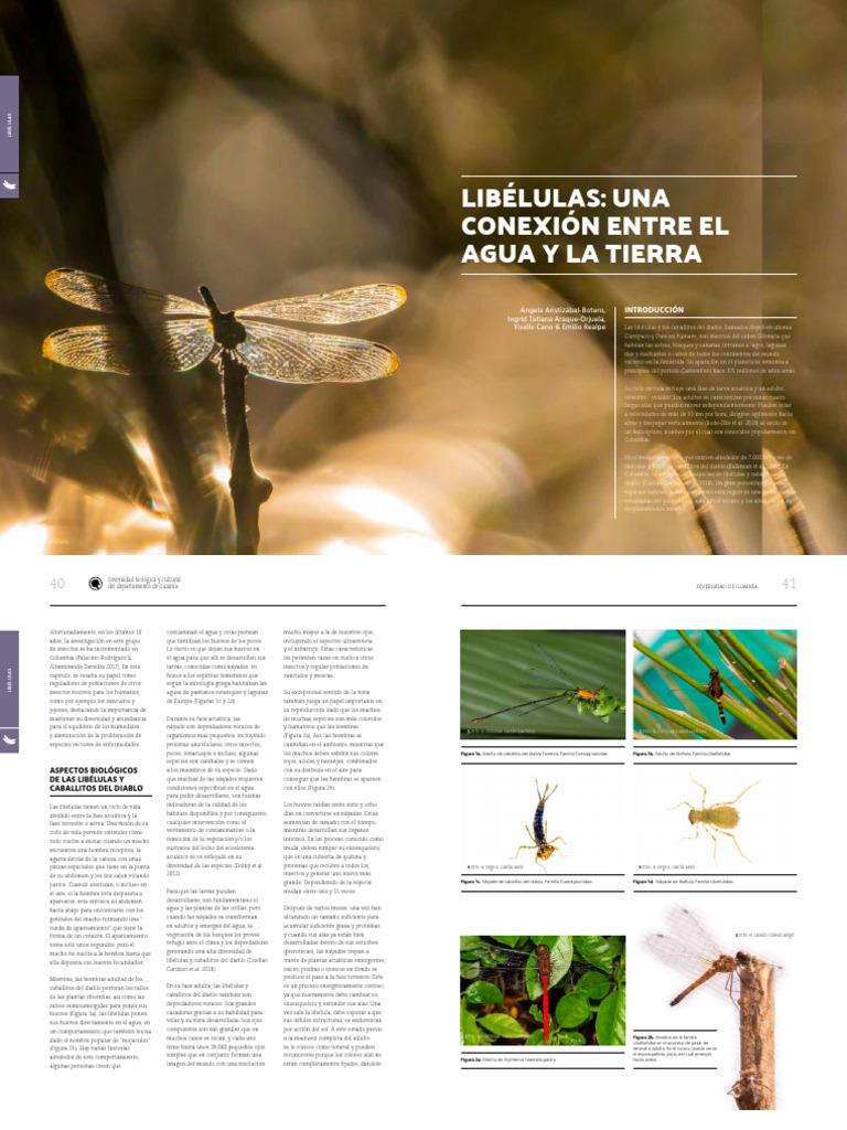 Libélulas y su Rol en Ecosistemas | PDF | Libélula | Mosquito