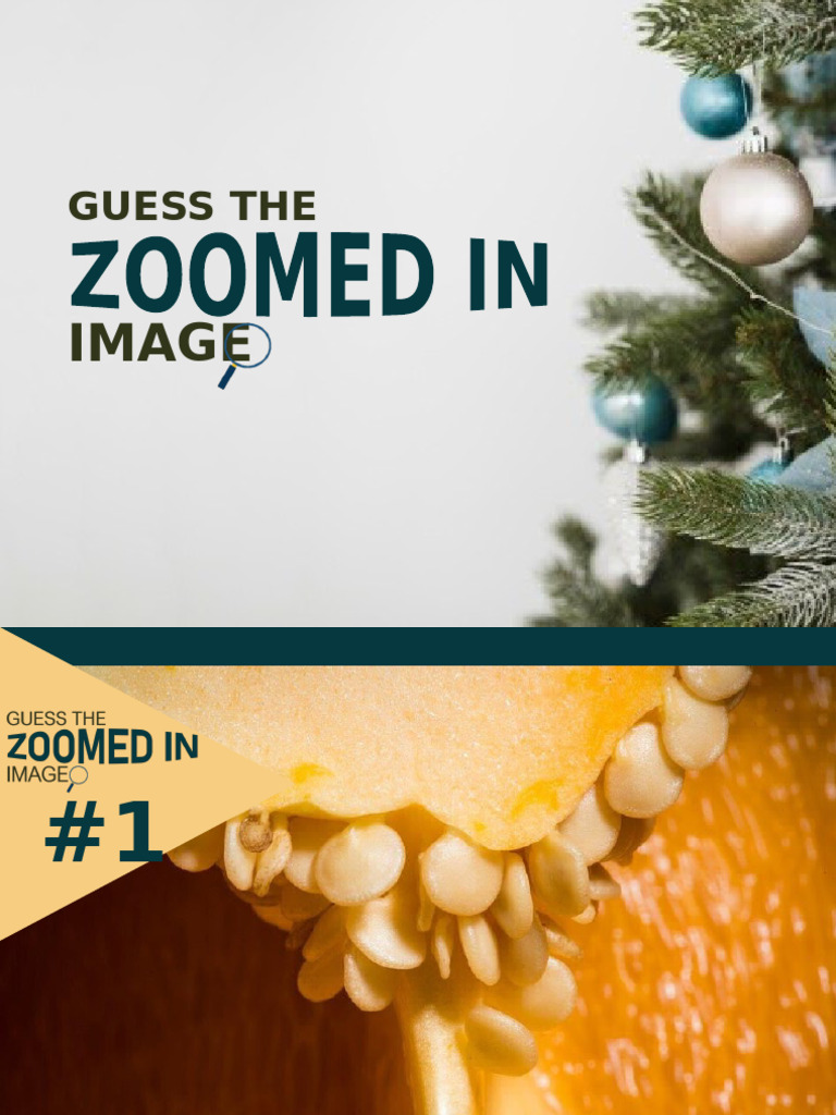 Guess the Food Image Quiz | PDF