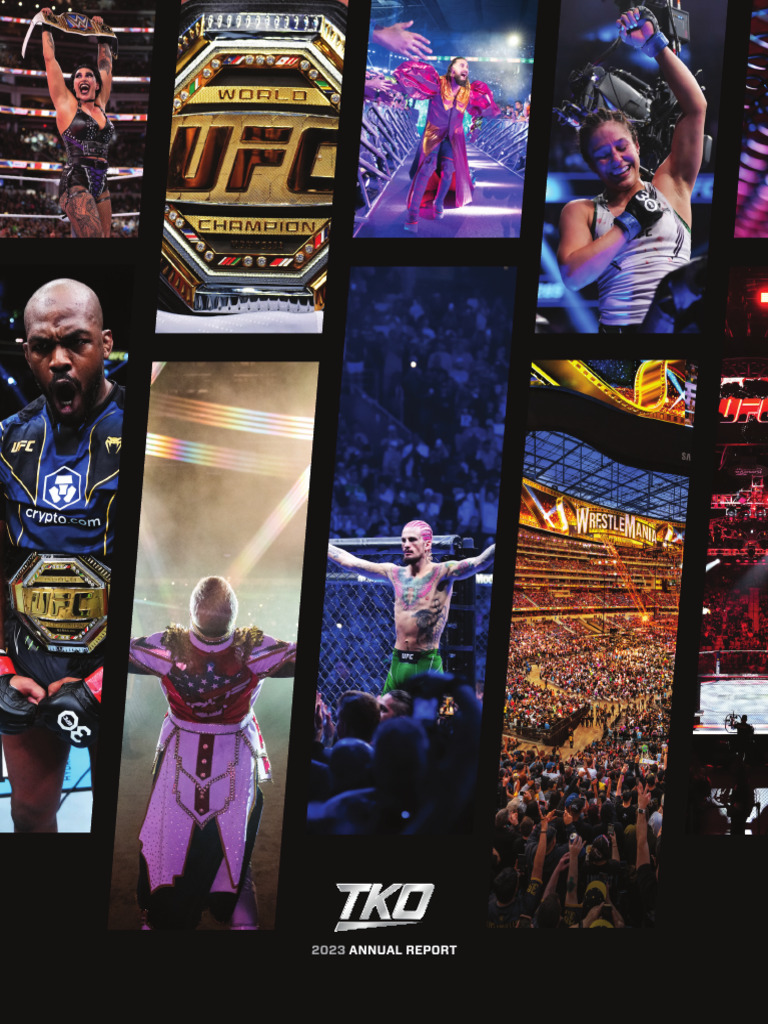 2023 UFC and WWE Annual Report Summary | PDF | Wwe | Expense