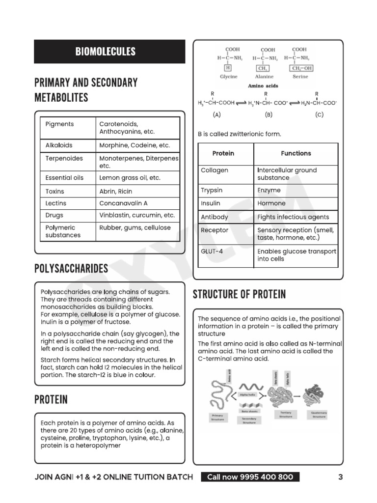 Biomolecules | PDF