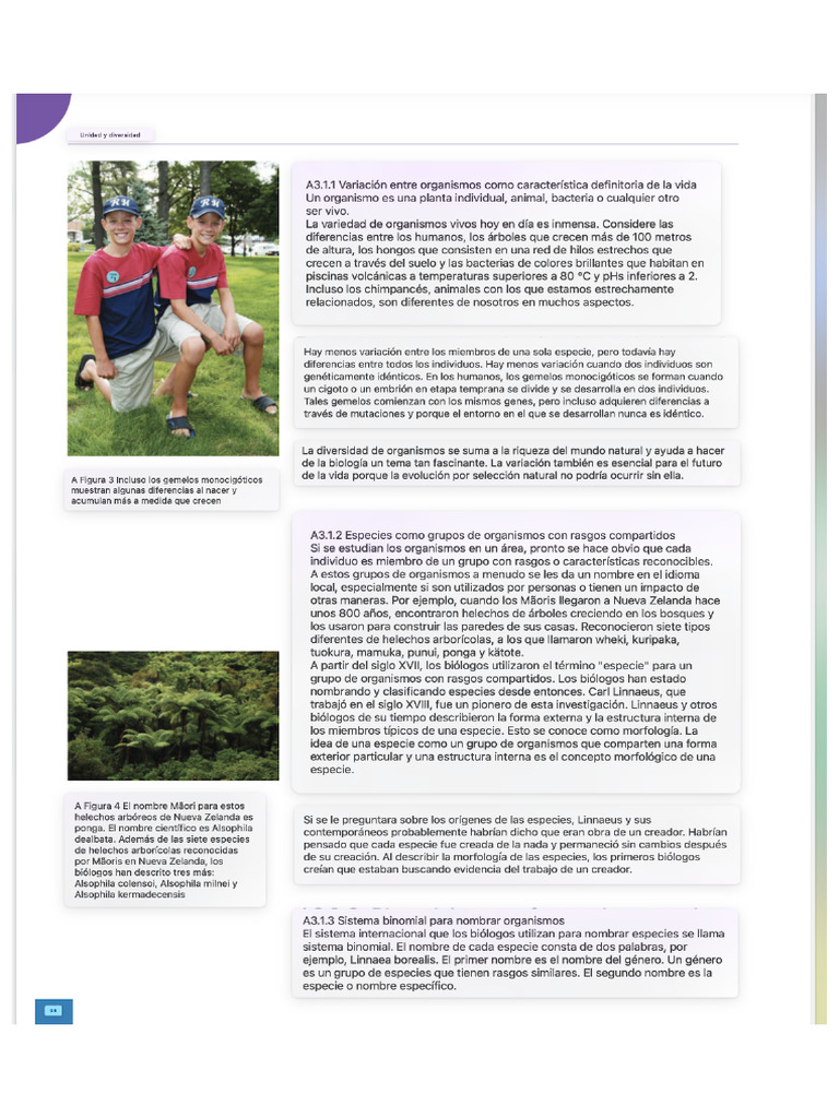 Libro Evolución - Español | PDF