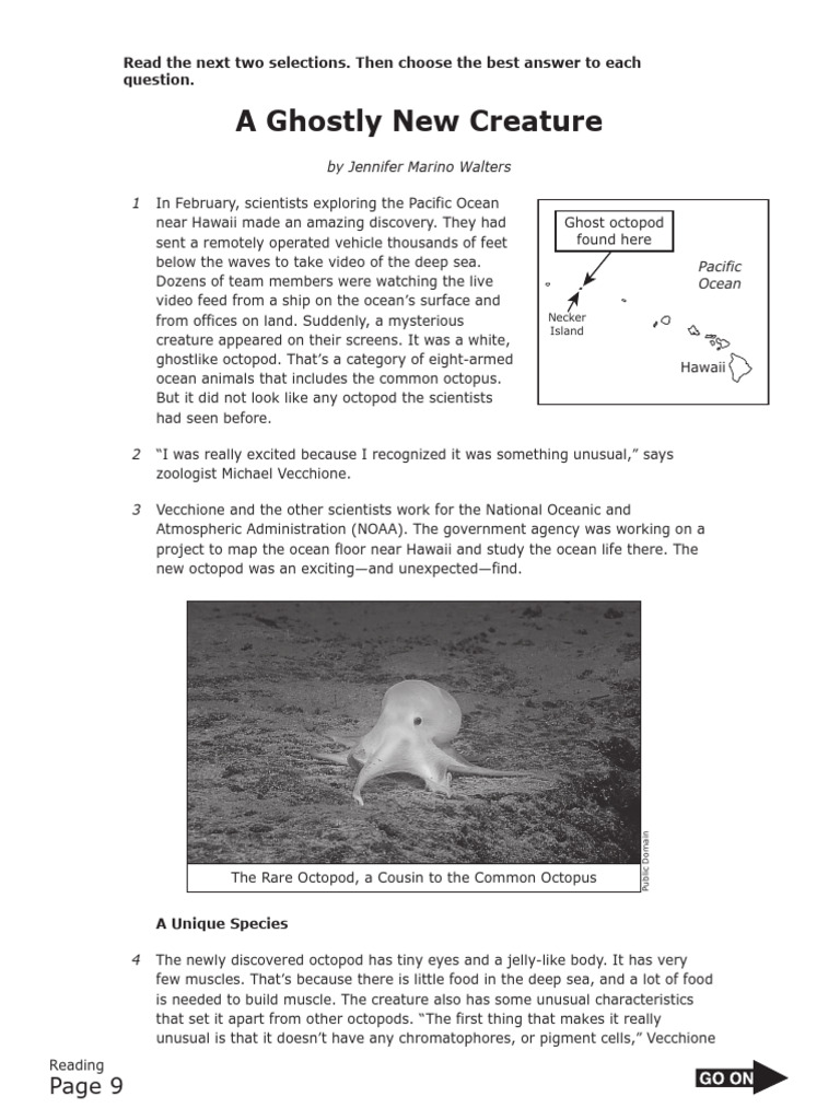 A Ghostly New Creature | PDF | Octopus | Oceans