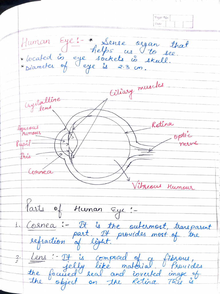 Human Eye and The Colourful World. | PDF | Senses | Components
