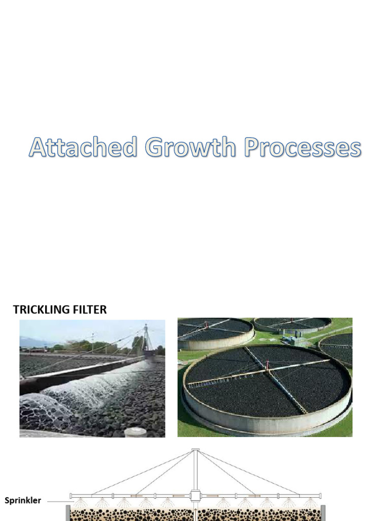 Understanding Trickling Filter Systems | PDF | Filtration | Biofilm