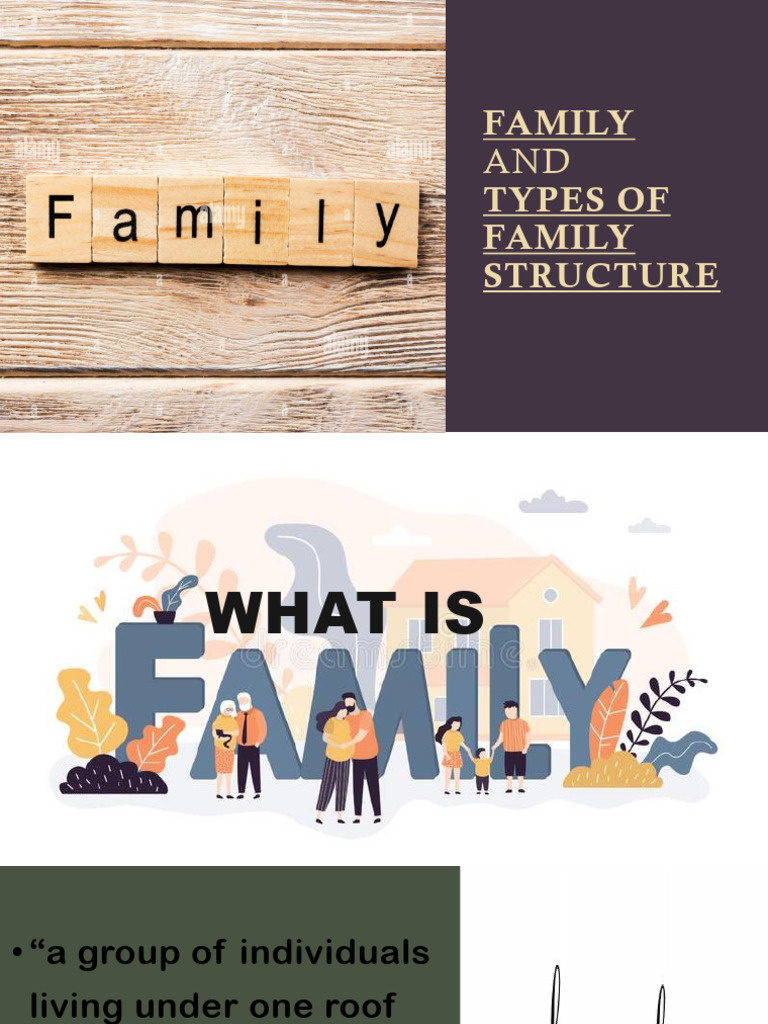 Perdev Family and Family Structures | PDF | Family | Stepfamily