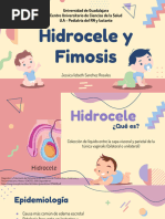 Guía Clínica sobre Fimosis en Niños | PDF | Enfermedades y trastornos ...
