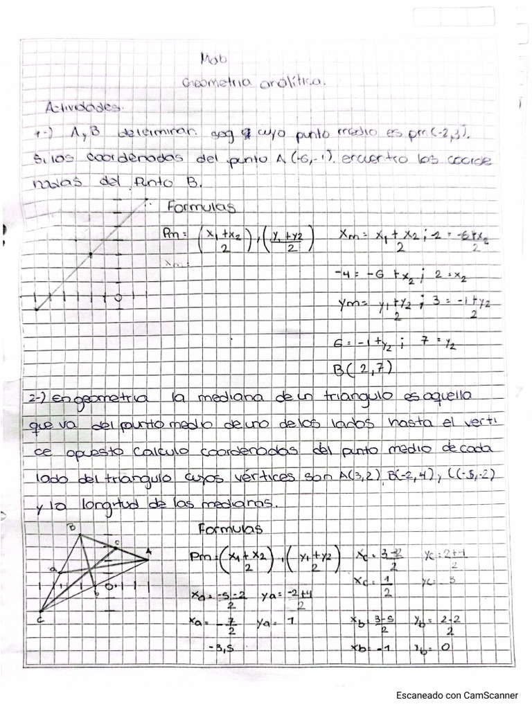 tarea geo analítica | PDF