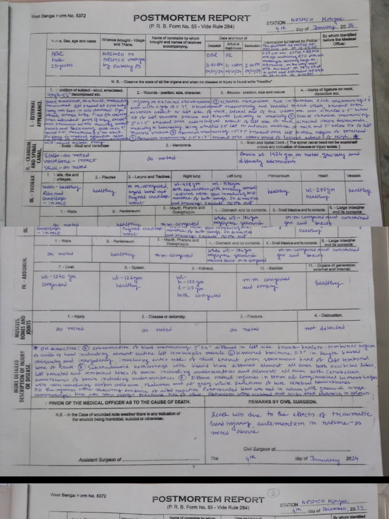 PM Reports 1-5 | PDF