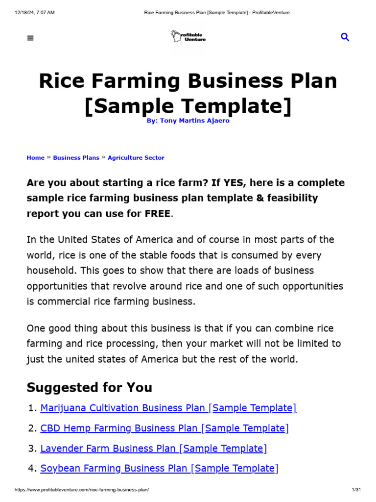 Rice Farming Business Plan B | PDF | Agriculture | Farms
