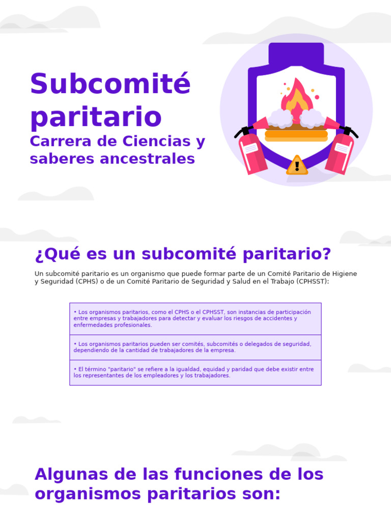 Subcomité Paritario | PDF | Factores humanos y ergonomía | Seguridad y ...