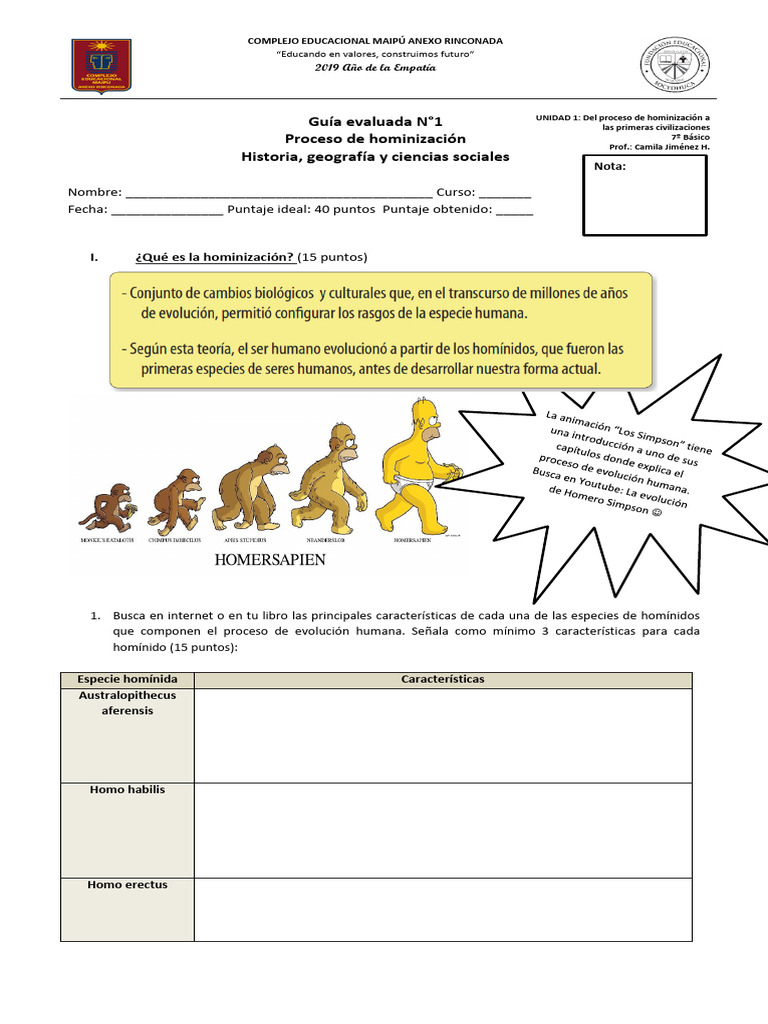 Proceso de Hominización: Guía 7º Básico | PDF | Homo | Evolución humana