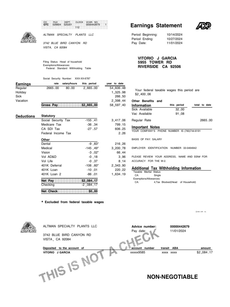 Earnings Statement for Vittorio J. Garcia | PDF | 401(K) | Social ...